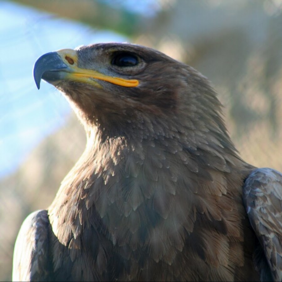 AMLnZu-uHxEQSBDXhWfDiBi8fjb9L6fUbNzNR9Fx1Jk=s900-c-k-c0x00ffffff-no-rj