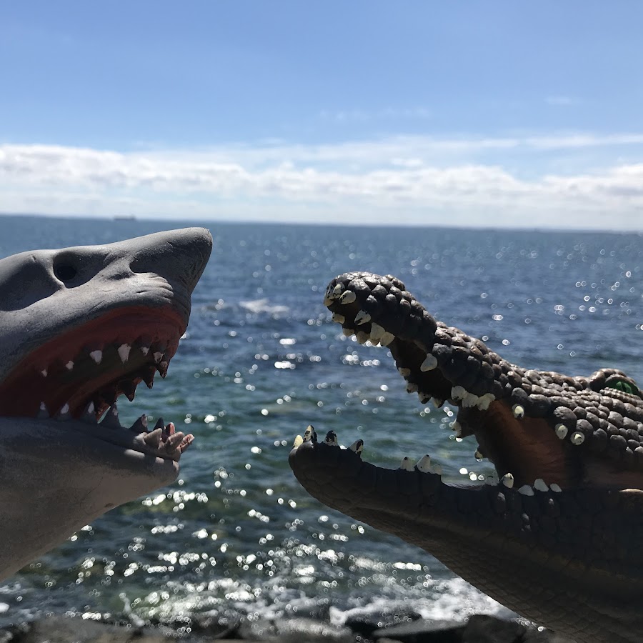 AMLnZu-yGT9hpbm86AMhhC2_LX0TfTrB4pBYIbGNmBuOcg=s900-c-k-c0x00ffffff-no-rj