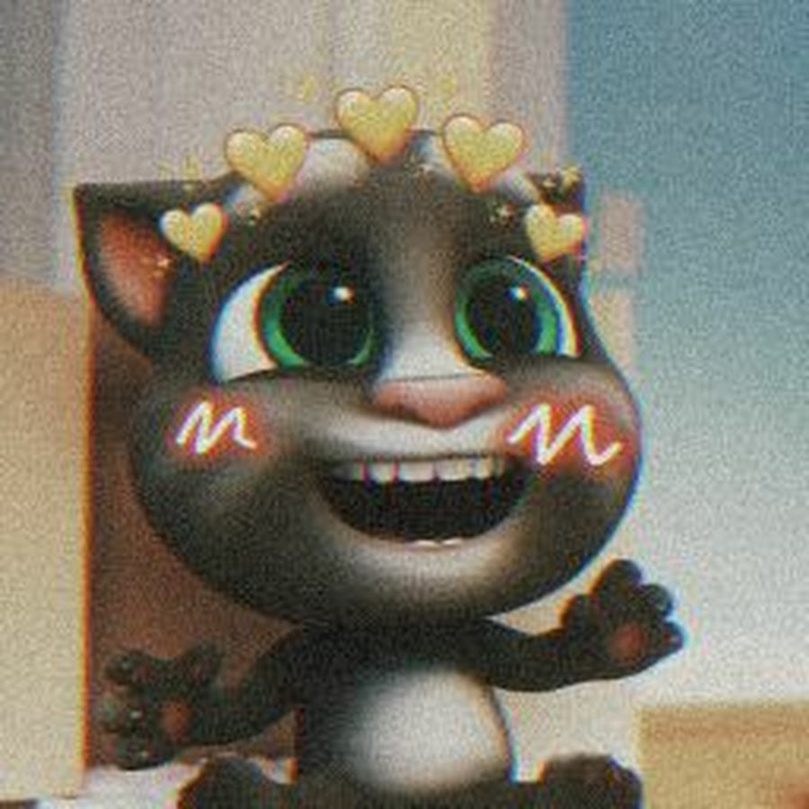 AMLnZu84BPSxgmHcz0mC84sfYF1HDYAcKnSbq_JFtSSj=s900-c-k-c0x00ffffff-no-rj