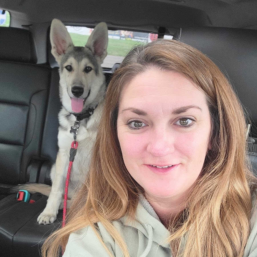 AMLnZu882kkZ-9CFfIIj6W_JLn2FVxq0BVMP01ljOkRTdvw=s900-c-k-c0x00ffffff-no-rj