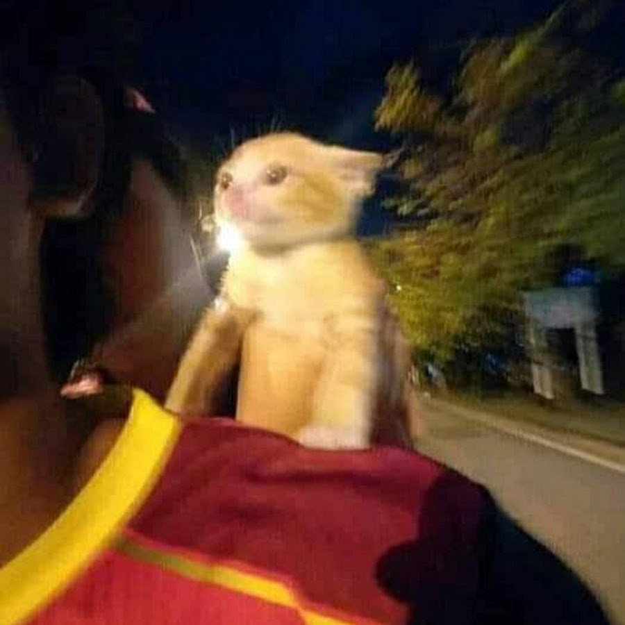 AMLnZu89c_d67Jas039z3uzhzi526JMcCviJ9Si6HrntsQ=s900-c-k-c0x00ffffff-no-rj