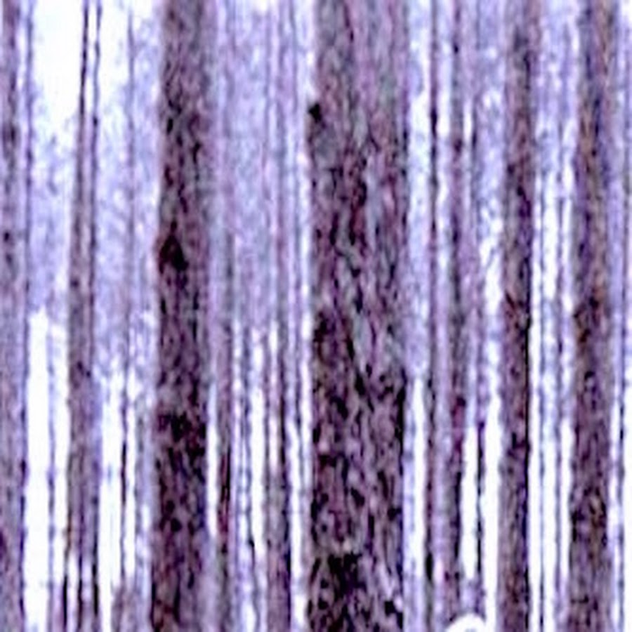 AMLnZu8Ib2rms1j71NxJem1QuTY_HSyPq6NZfTM-iQlPEY4=s900-c-k-c0x00ffffff-no-rj