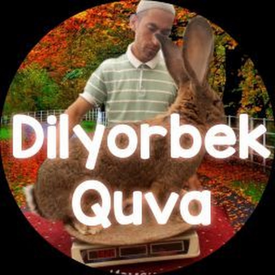 AMLnZu8KfxLJMAYWVAyJZ8YE_E84QWBT5mlrpzh_0SQwRg=s900-c-k-c0x00ffffff-no-rj