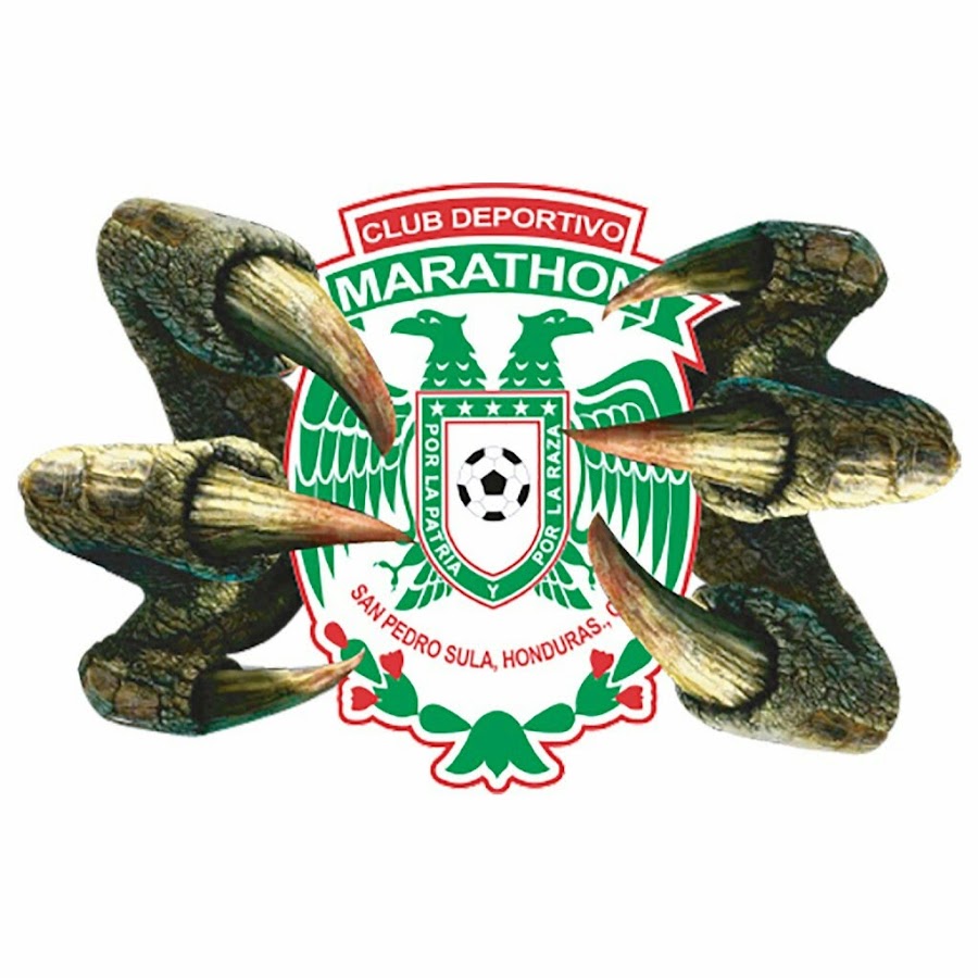 AMLnZu8KmWhFE1Xst4wY-loenekUWhh2pliJukU9xV0A=s900-c-k-c0x00ffffff-no-rj