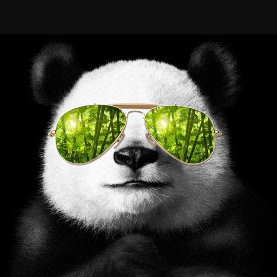 AMLnZu8L1S9Wkhbaf6YpuypwslJTECqv-_aWFYB9Ax4j=s900-c-k-c0x00ffffff-no-rj