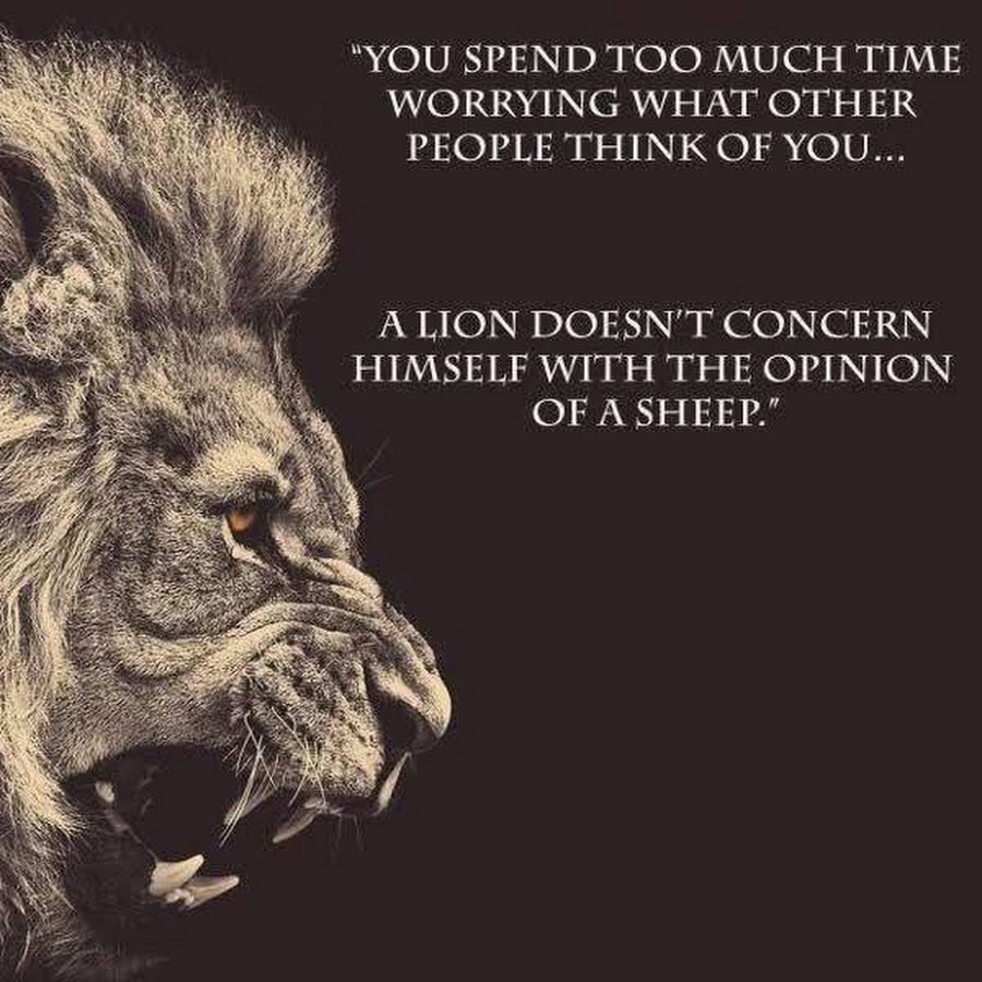 AMLnZu8L3RNzyvJVdx9gAwvkgGBRltNkHu2yFkxOBAOgrg=s900-c-k-c0x00ffffff-no-rj