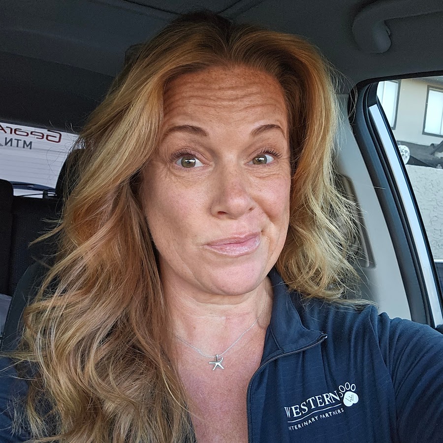 AMLnZu8L9NFB7HOPX6JC9H-w4BOIDY_43IkbP1JUpQ_fxsU=s900-c-k-c0x00ffffff-no-rj