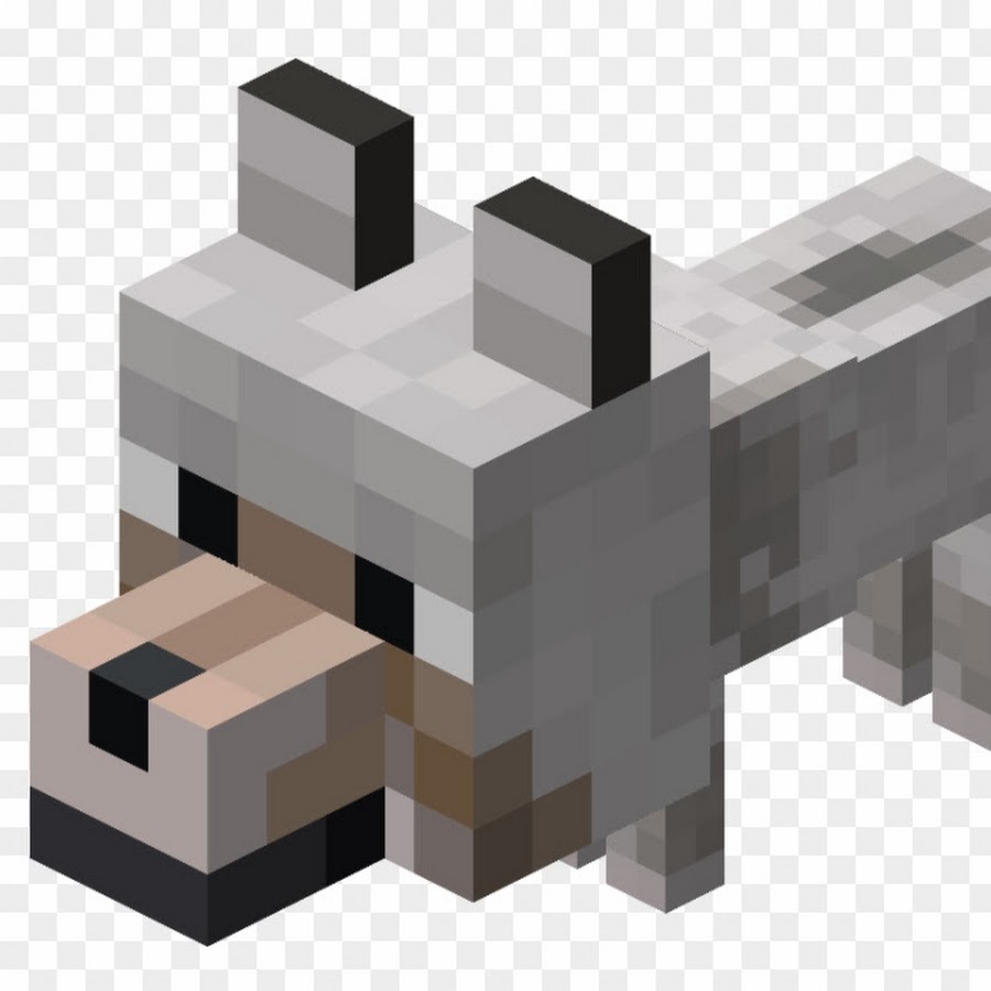 AMLnZu8Ny8RWcfMfk0pM8b_fcgA_G80nDvSaq4HZX7p8=s900-c-k-c0x00ffffff-no-rj