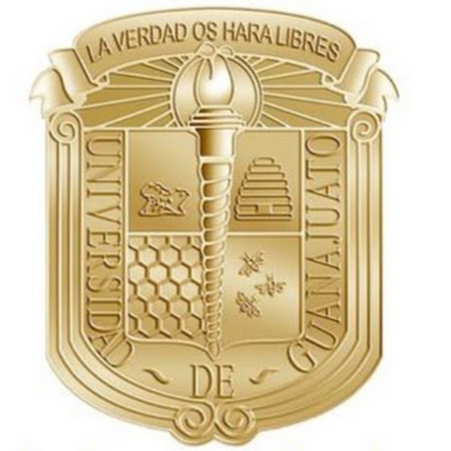 AMLnZu8SsJMoNSMUPADtdJ8BjFoUkBO0bYb0aDd6SacV=s900-c-k-c0x00ffffff-no-rj