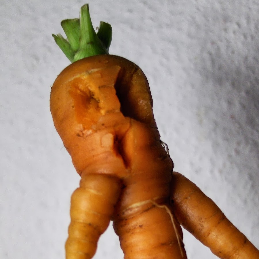 AMLnZu8TNgy-M2nYK9fBXFBo0l9E4Wsxg_un2vatmCmEgw=s900-c-k-c0x00ffffff-no-rj