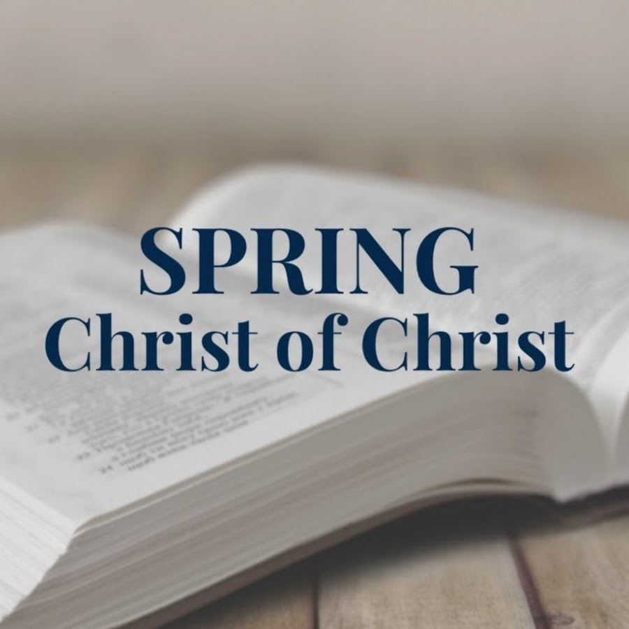 AMLnZu8Vdqn_mCVAhEyHAdxAlbIN2pSFA7MiuKAZUFfZMg=s900-c-k-c0x00ffffff-no-rj