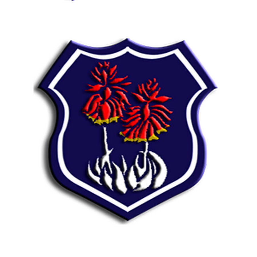 AMLnZu8Xnksd-RNnOIei83knfIosY2Qyf_tXmfUcj-utew=s900-c-k-c0x00ffffff-no-rj