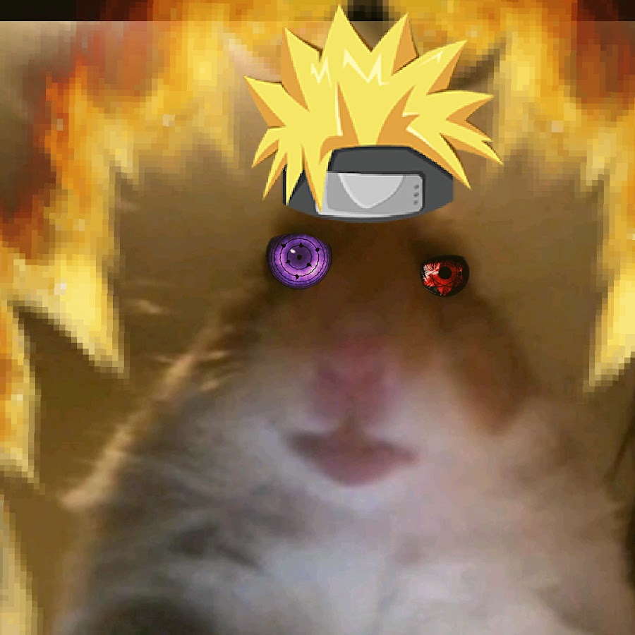 AMLnZu8ZT_6EDG6cpr9MtJnD3rnHXUt4l7eU9OURZxrn=s900-c-k-c0x00ffffff-no-rj