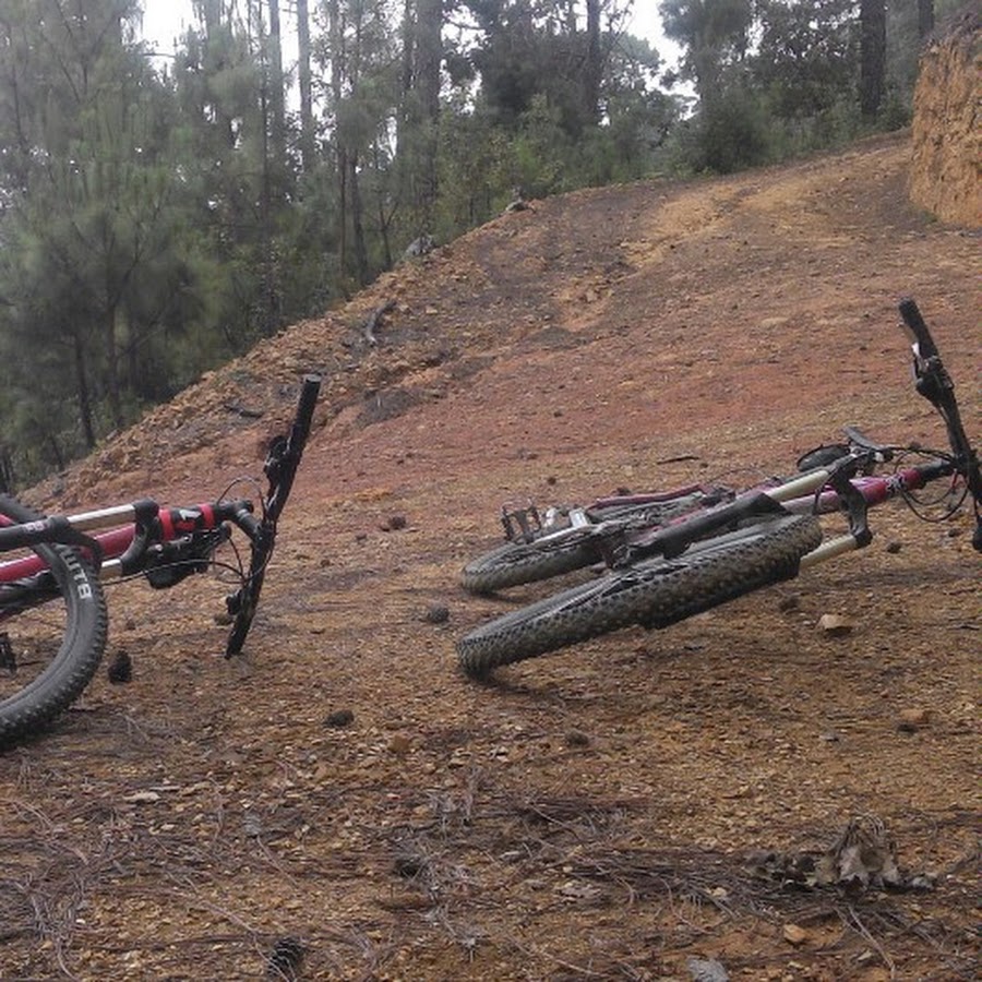 AMLnZu8cMVQrerLWvrrQpfFPFD9z7X2RjhjdF1Im3TY7bw=s900-c-k-c0x00ffffff-no-rj