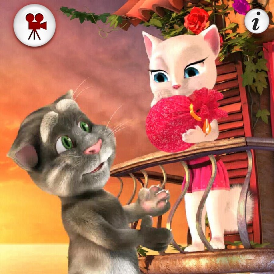 AMLnZu8ebjWbHGKnu_bCd0a4x3J3UayRwPj94QY0_7Jv=s900-c-k-c0x00ffffff-no-rj