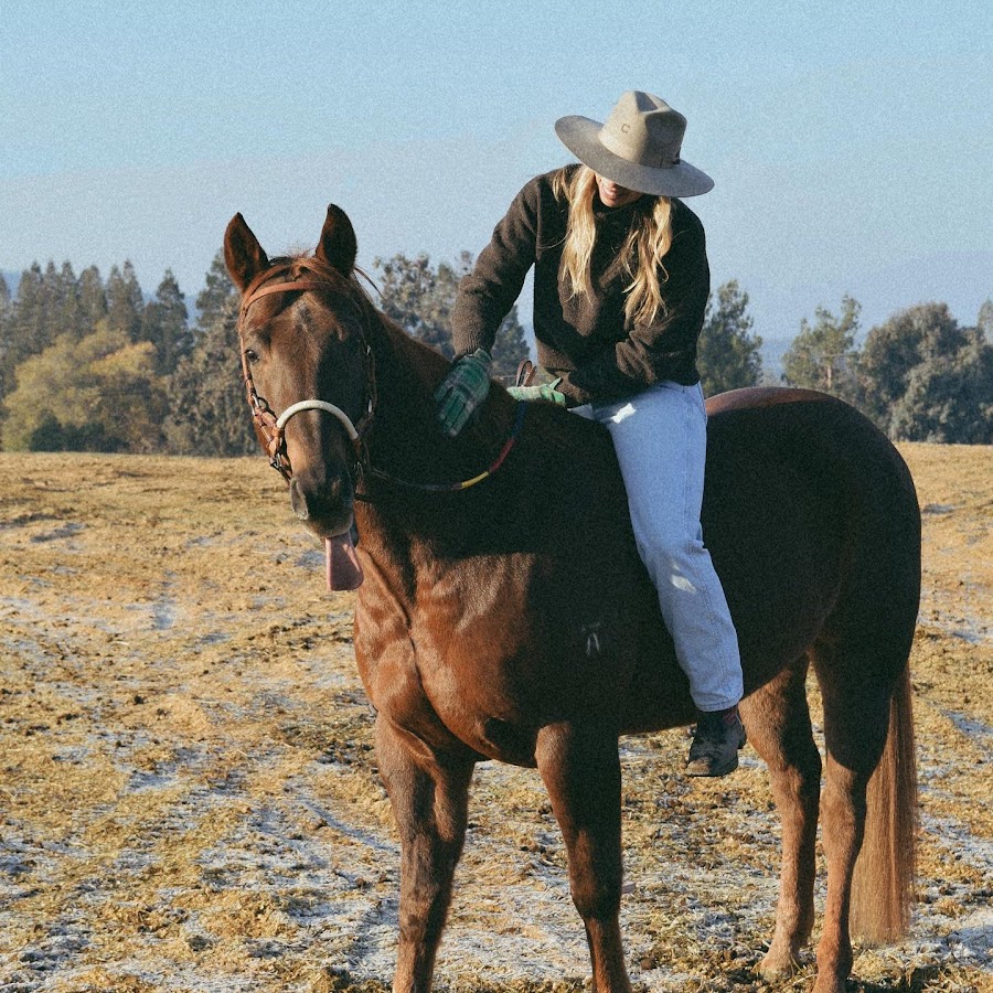 AMLnZu8ll-mAfu3DN-MZJvaN_viO2DxxXgHHdpxDk4pqCA=s900-c-k-c0x00ffffff-no-rj