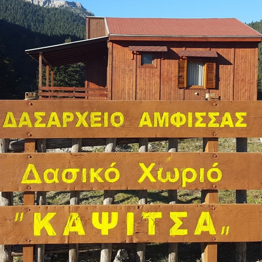 AMLnZu8m33onAZhGqZ01ZZQBZJ9d0zpNa1ZrTTxb0Ajd0A=s900-c-k-c0x00ffffff-no-rj