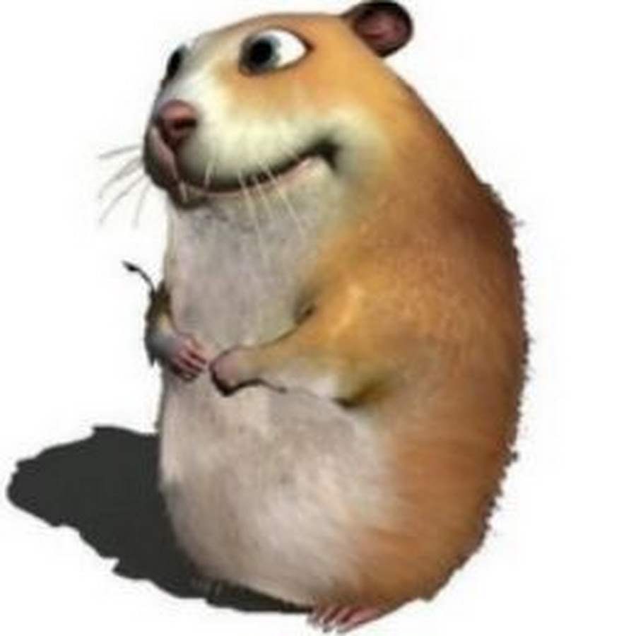 AMLnZu8mUdD33e4WZeXqgu1ucqGRvN00CpkWa_IWNcH1wA=s900-c-k-c0x00ffffff-no-rj