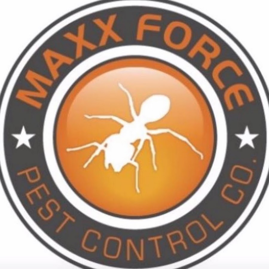 AMLnZu8nYCm7MHhfVc0XNeIW5XNg67_ZTeqrQeSnE-mQ=s900-c-k-c0x00ffffff-no-rj