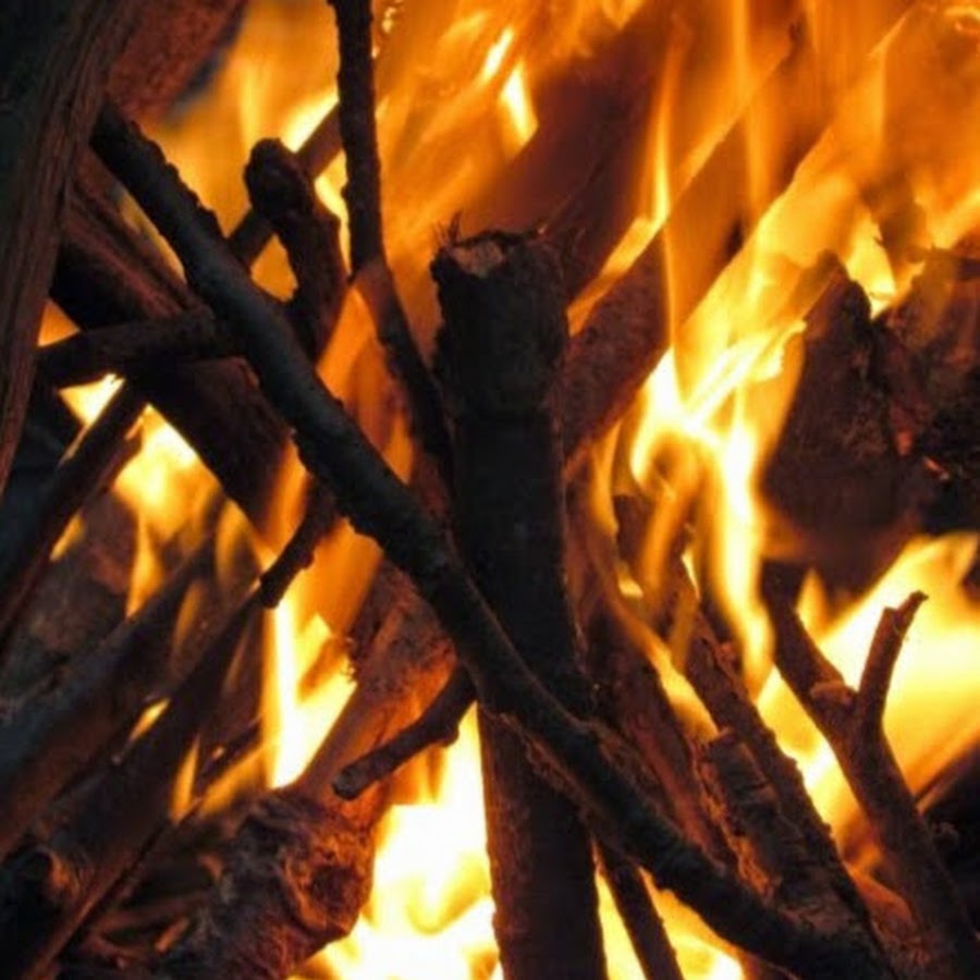 AMLnZu8s2zqfOnm9wt54J7UxcpmYJyfV5N9X38wxymgfFA=s900-c-k-c0x00ffffff-no-rj