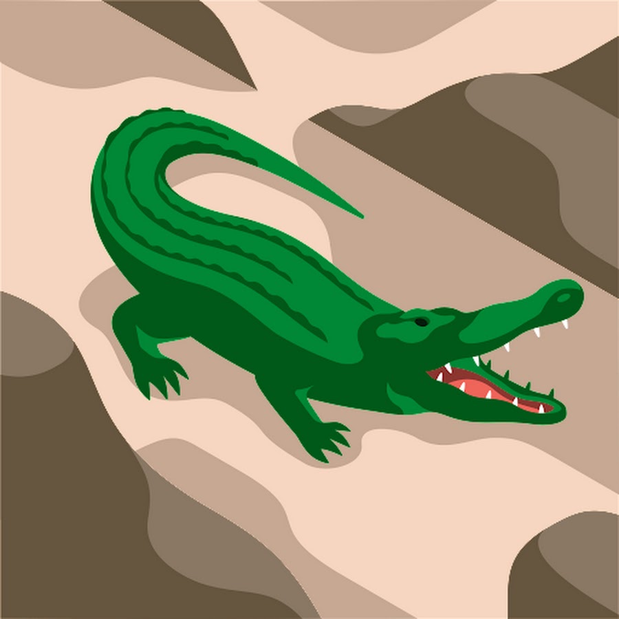 AMLnZu8sRXGMdd8Y1a4r7AZZnSMTFEaGo8V8YthWERNl5g=s900-c-k-c0x00ffffff-no-rj