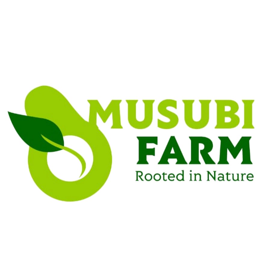 AMLnZu8tUsmadKZTP5txFFLJMxVF0DnY4NlfKAMq8H43=s900-c-k-c0x00ffffff-no-rj