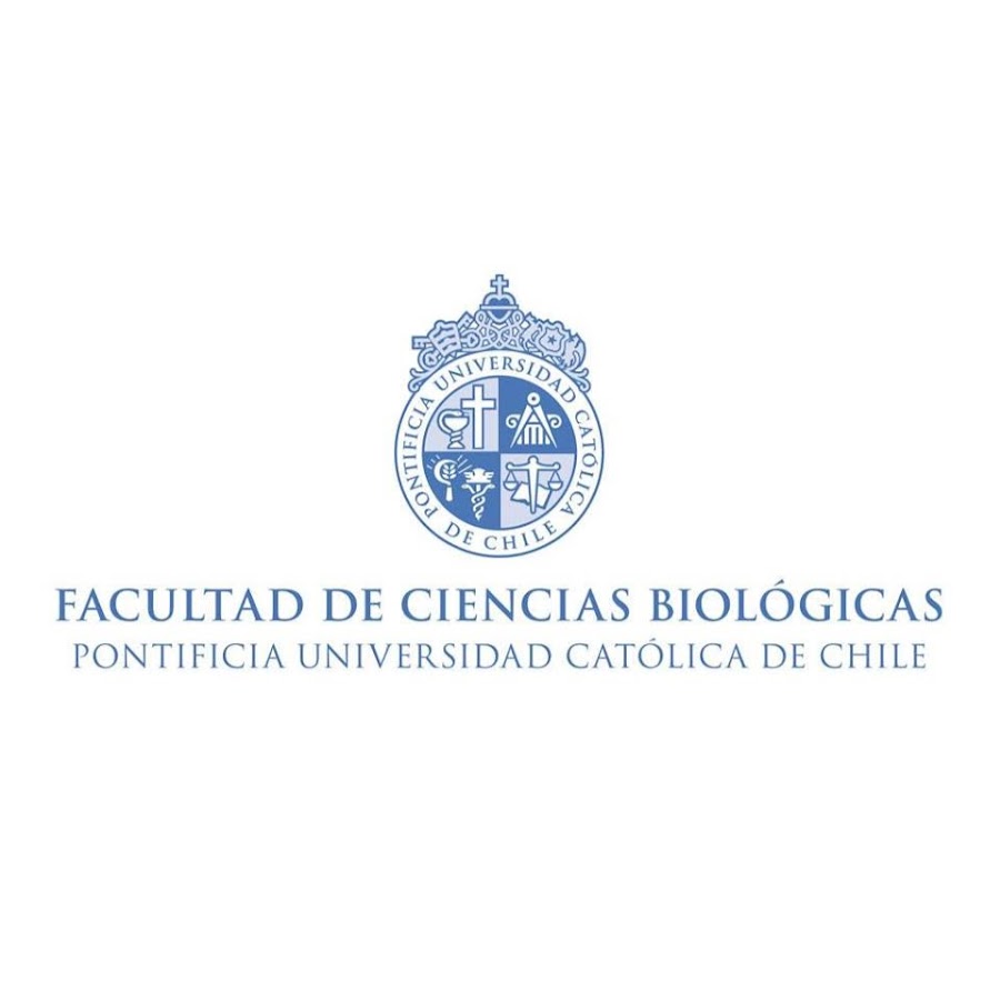 AMLnZu9-Y7GPnuojHyylU8vRq5RzcVv02XL0lX38AtPR=s900-c-k-c0x00ffffff-no-rj