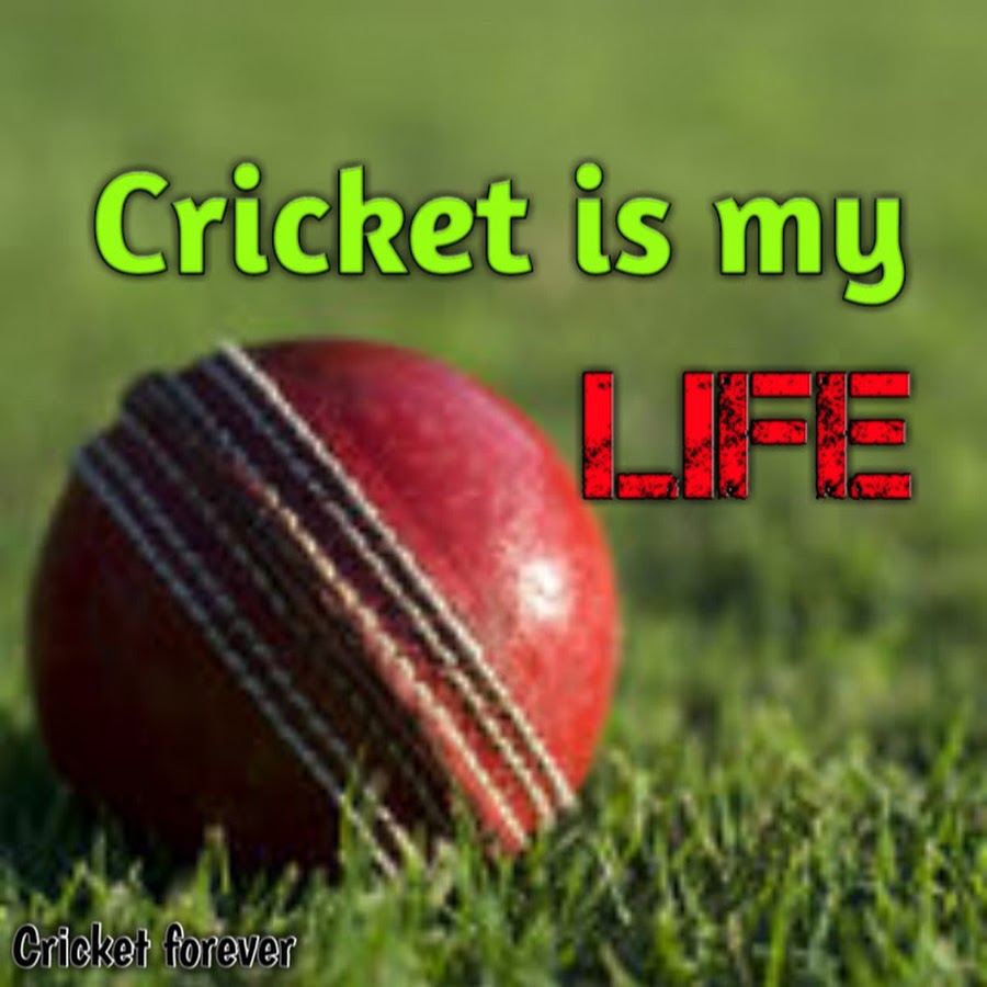 AMLnZu925-g0hx7zhNbzzofXHquRF-itc961f9YW1ZnA=s900-c-k-c0x00ffffff-no-rj