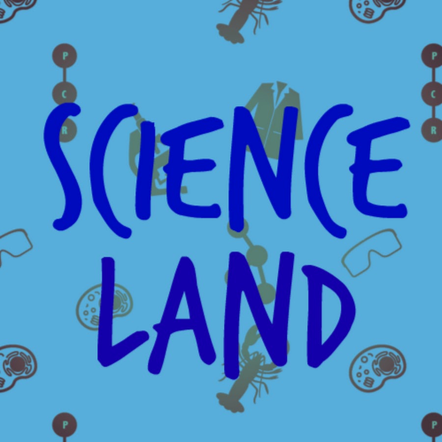 AMLnZu94o5OwJyG_SthcCqjb_n_ukkXayYqFZX_5AEwM=s900-c-k-c0x00ffffff-no-rj