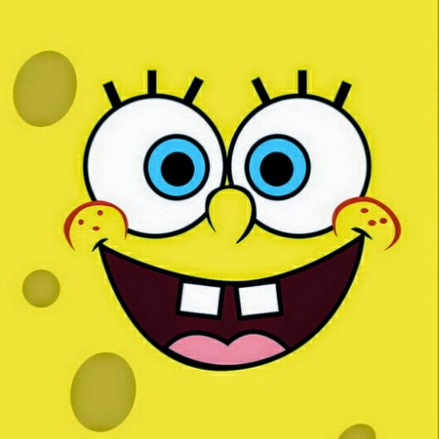 AMLnZu980MLf51EEdbBRkKlQ9ciliDcVJ7tnPda8zMcJ=s900-c-k-c0x00ffffff-no-rj