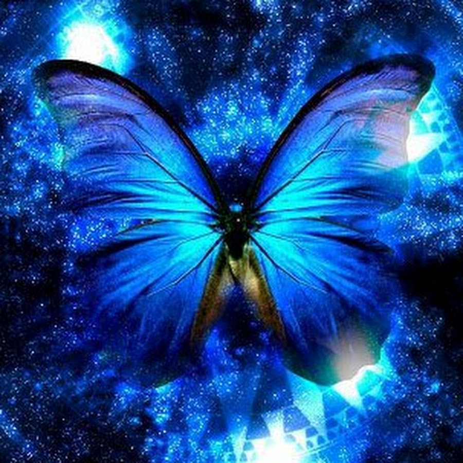 AMLnZu9BH5ouT65zkII3JRkFHS4RBNYFn8QktGfwwGdf=s900-c-k-c0x00ffffff-no-rj