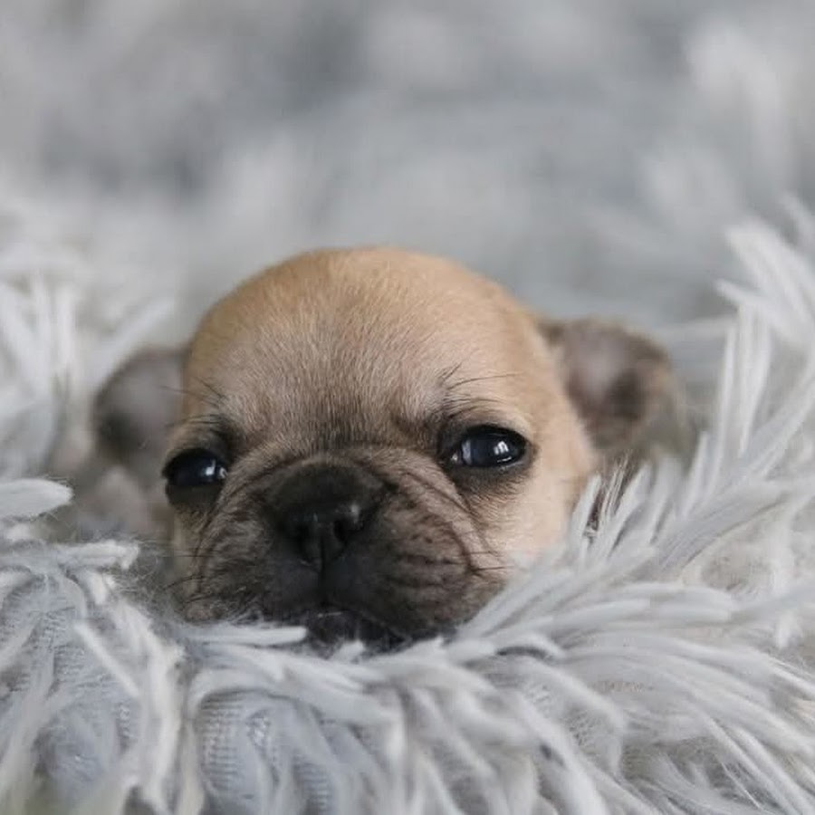 AMLnZu9C2bC1ojFr8S3zFSEHRPMPIvVOnJ1xzOUlKSZOWg=s900-c-k-c0x00ffffff-no-rj