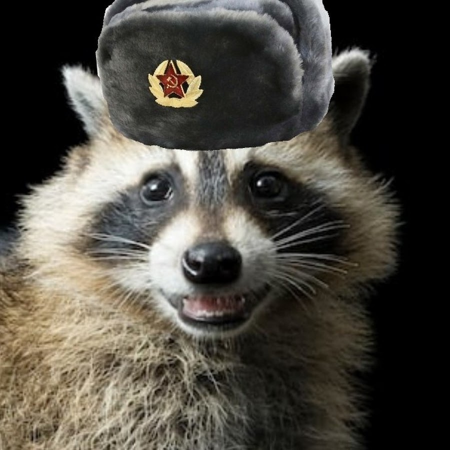 AMLnZu9HDBdzobRY3R5c_DC9VMcGLOLDSIadae9F2EWrVQ=s900-c-k-c0x00ffffff-no-rj