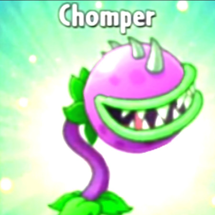 AMLnZu9M4pqmEY42mXQx60ls2jK2pJDOpQMhkVRaEfDEvA=s900-c-k-c0x00ffffff-no-rj