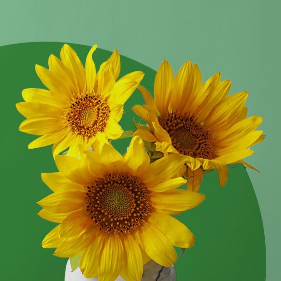 AMLnZu9SVL4971PGMlpjseBHd7q4nLYVozqdKSb8rKag=s900-c-k-c0x00ffffff-no-rj