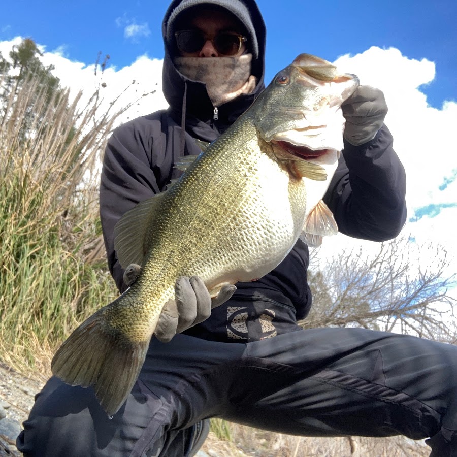 AMLnZu9TowN60FbYi_NqfSvFShpFO0AKors_0GT_QVXZNA=s900-c-k-c0x00ffffff-no-rj