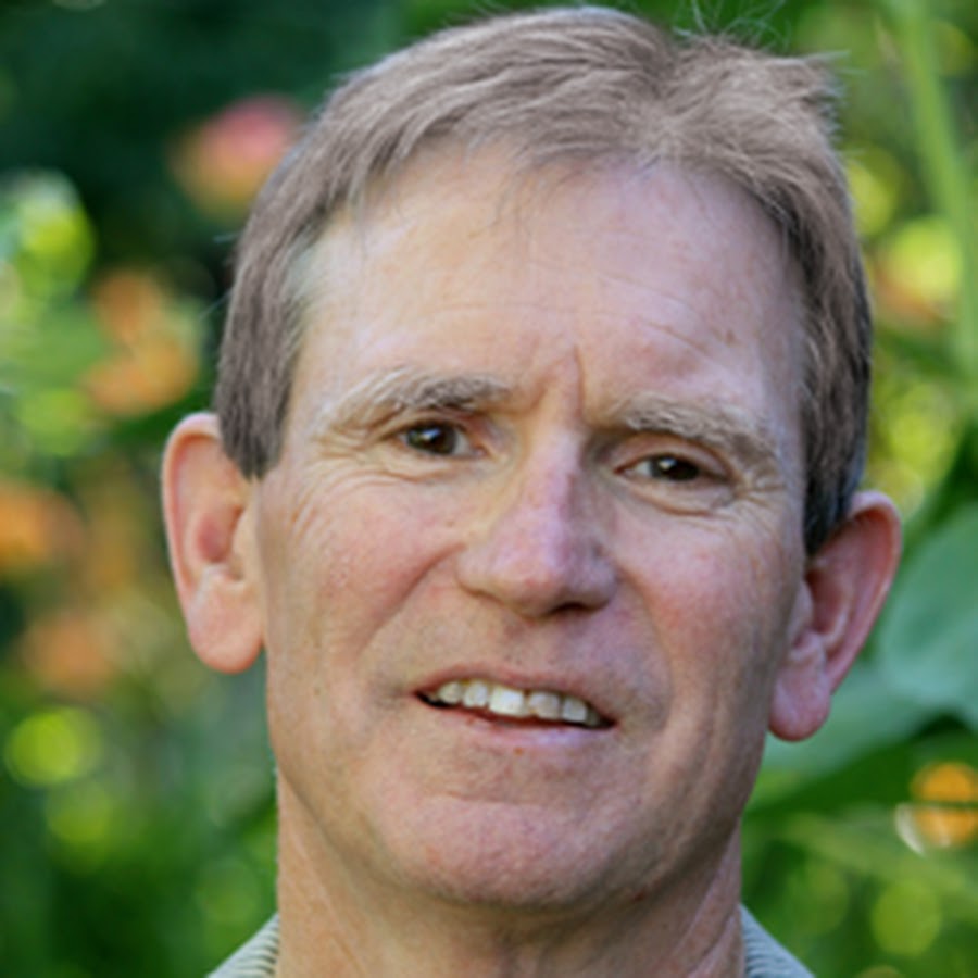 AMLnZu9cSdYNcXqBKd-TROzYASv29INwpzPzDYa20shnmw=s900-c-k-c0x00ffffff-no-rj