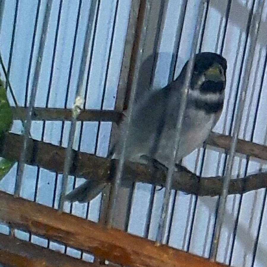 AMLnZu9fGLUSkNSCkeNNh5pxygAwgnRsrJuf6hnjfQlB=s900-c-k-c0x00ffffff-no-rj