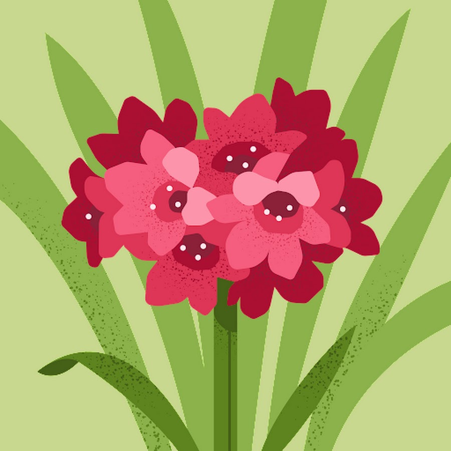 AMLnZu9gnMPTaRo2AUp5oo_sxRsG7vMmeRS5-alMG4-7lg=s900-c-k-c0x00ffffff-no-rj