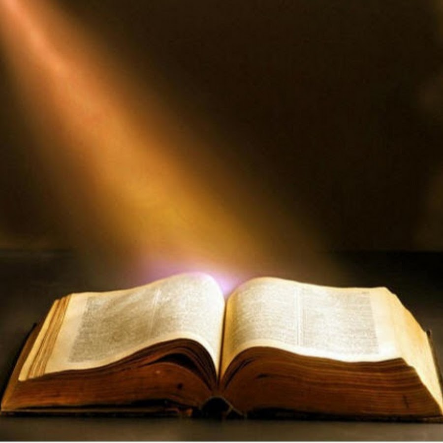 AMLnZu9gqcV0K4Q9pQ-FpbbHbp6KjdfIinQDGF4ktAcV=s900-c-k-c0x00ffffff-no-rj