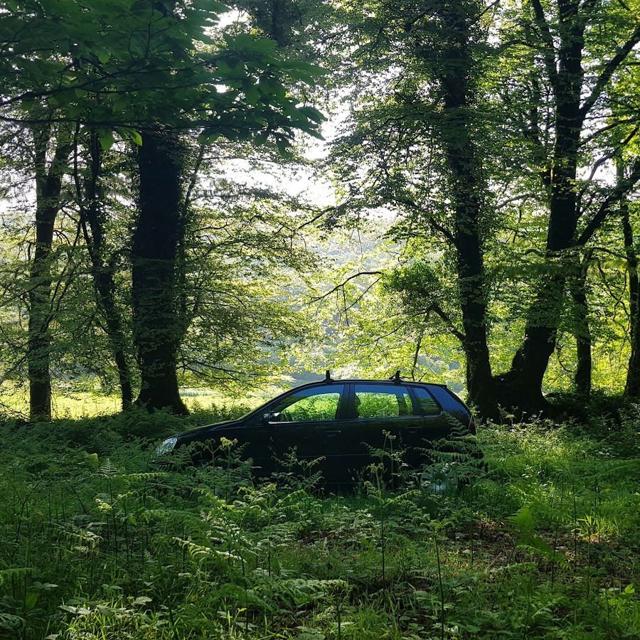 AMLnZu9hxhDcH3hVkjENtHA5BFtxg3uOWep8etdFFs2o_w=s900-c-k-c0x00ffffff-no-rj