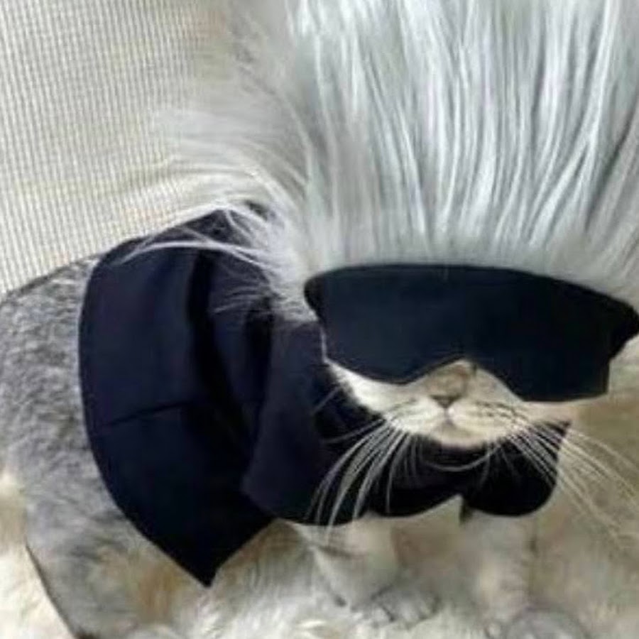 AMLnZu9iSM5A5yAaB0fs8oFnZVZEj9t4NFIQbX3lEYInhg=s900-c-k-c0x00ffffff-no-rj