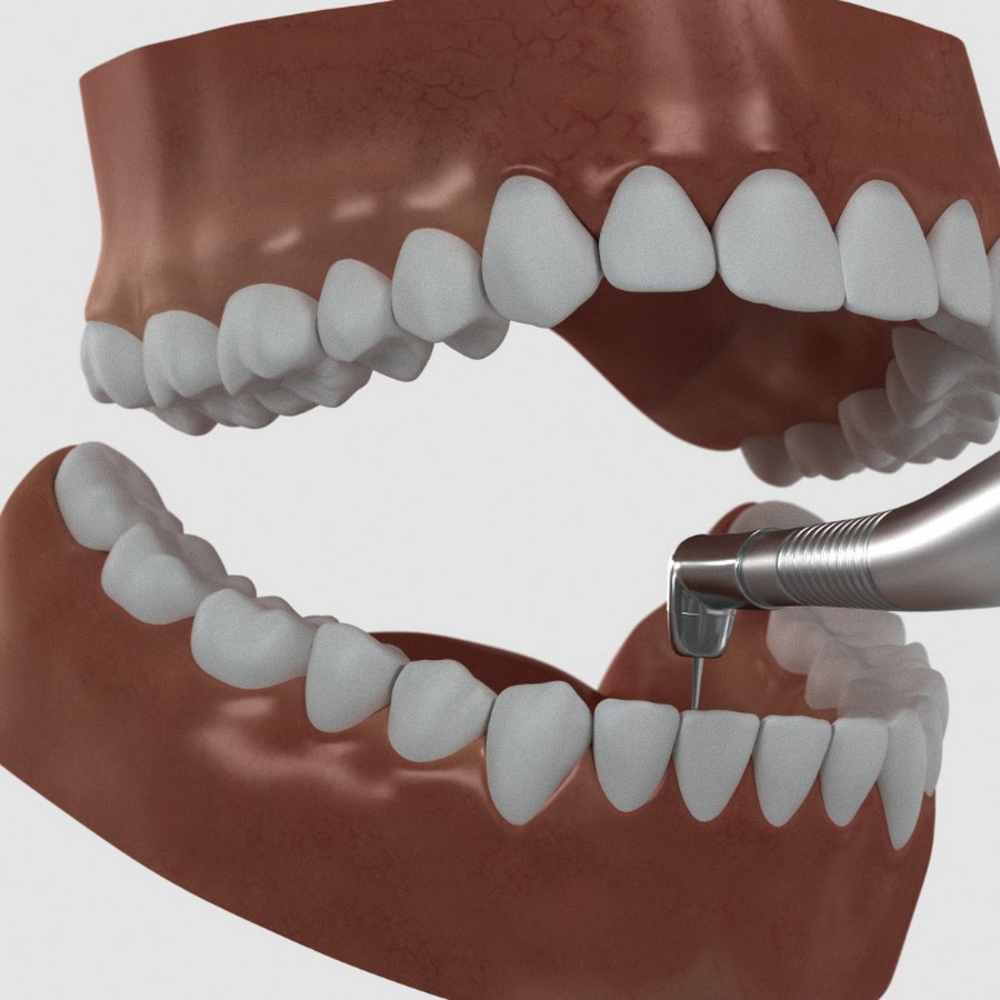 AMLnZu9kDPg_w8SyI86usA-2YqAeOrHefsAt_-FoJd-W=s900-c-k-c0x00ffffff-no-rj