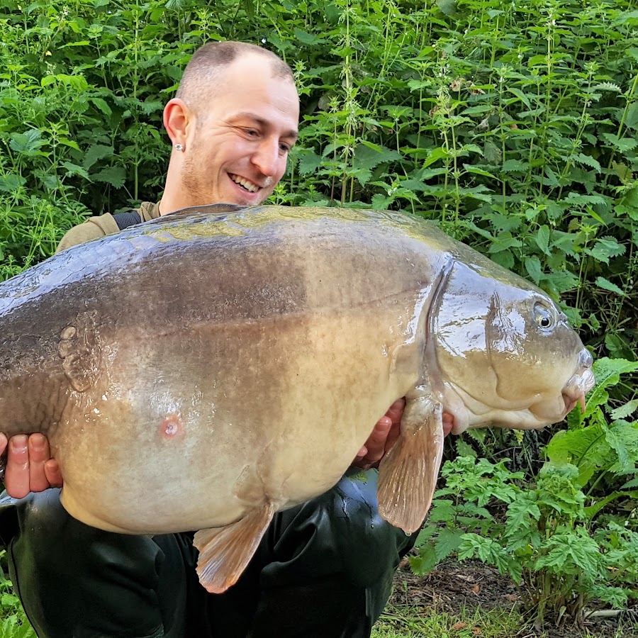 AMLnZu9u1KWgC9JTuBUf-00_MdVb0tnP61l4I5fv8YX0QA=s900-c-k-c0x00ffffff-no-rj