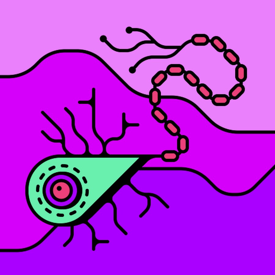 AMLnZu9vsRvMUnv_WCJr-CTsGifLmBbxGuCTStjVdNnw8Q=s900-c-k-c0x00ffffff-no-rj