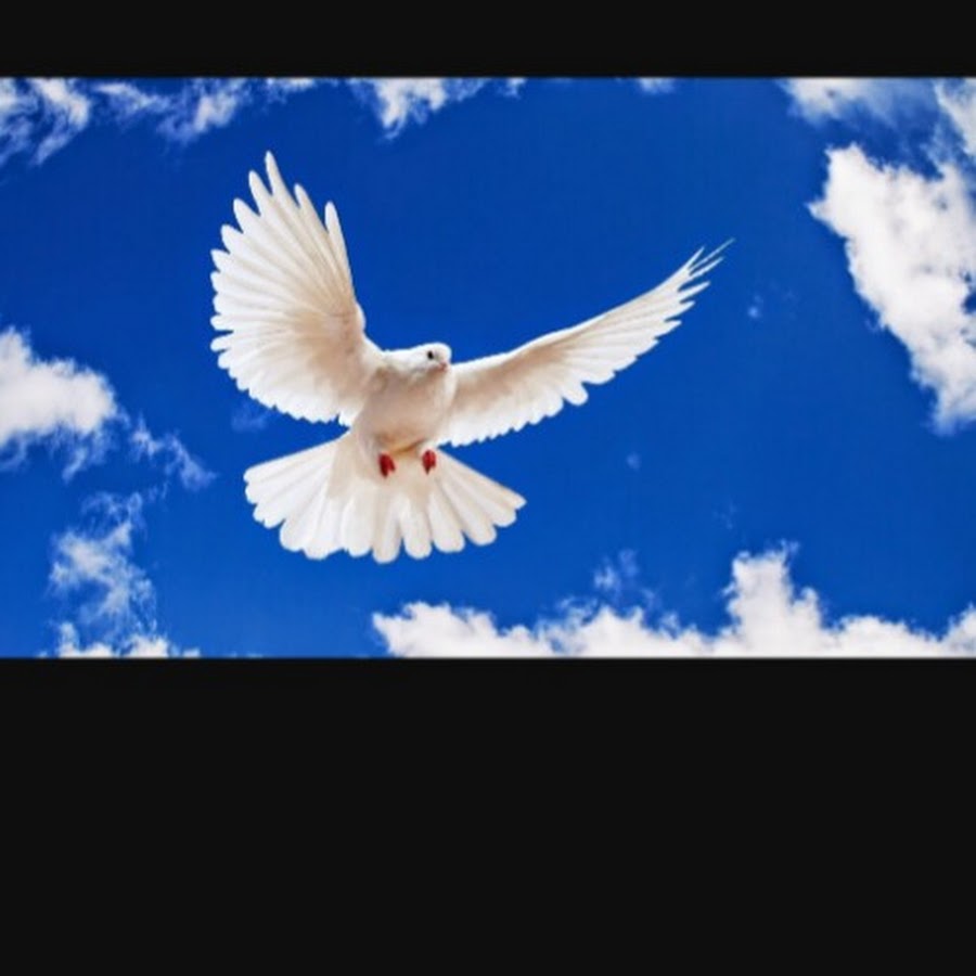 AMLnZu9wmCIfITOclrQPMz93IXKXlM-tlxE_hHuo-rNT=s900-c-k-c0x00ffffff-no-rj