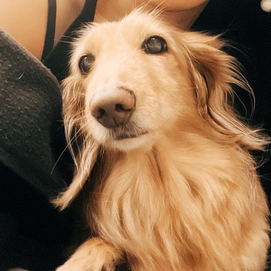 AMLnZu_6J5J9jnz0Sik_Vw5f1LeXdJJp664FlYGrFGuJvIA=s900-c-k-c0x00ffffff-no-rj