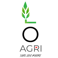 The Pethericks Net Worth, Income & Earnings (2022)