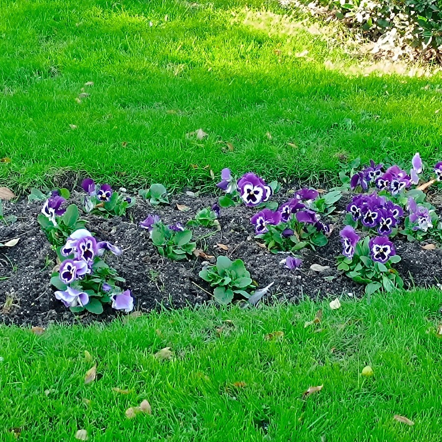 AMLnZu_AaCOQ1BFVez7KOqgwrzxMVcnS1q5_zoiFqw8FpL8=s900-c-k-c0x00ffffff-no-rj