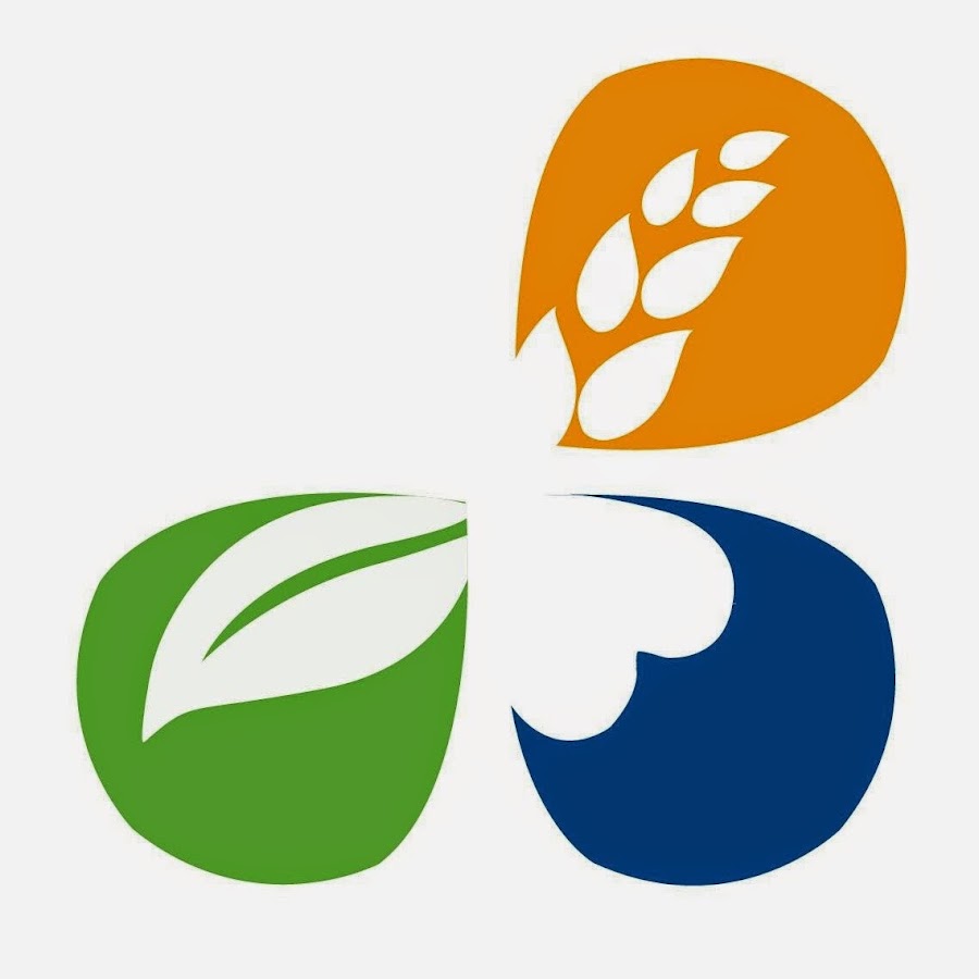 AMLnZu_C4gyjCnGXkIPKhhiy8rYZNImM0XfspQZAw52p=s900-c-k-c0x00ffffff-no-rj